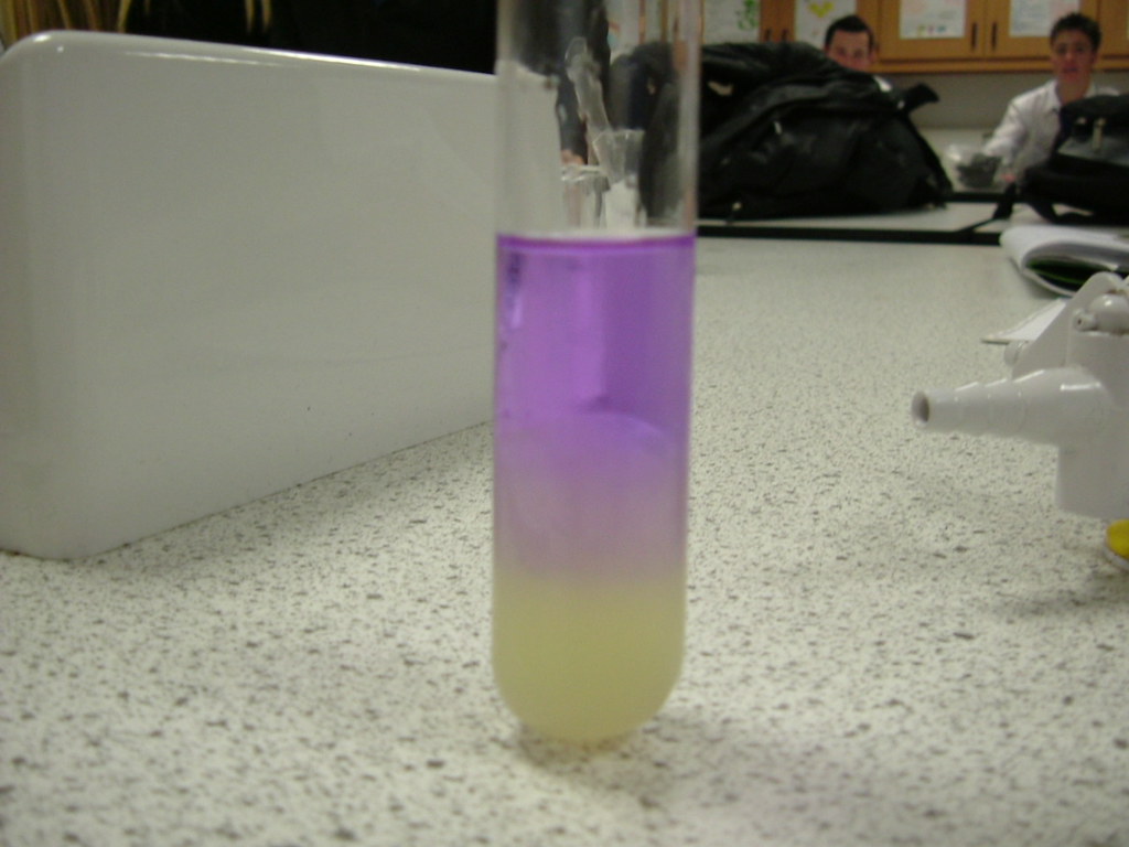 Best DNA Experiments for High School Science Classes - The Katy News