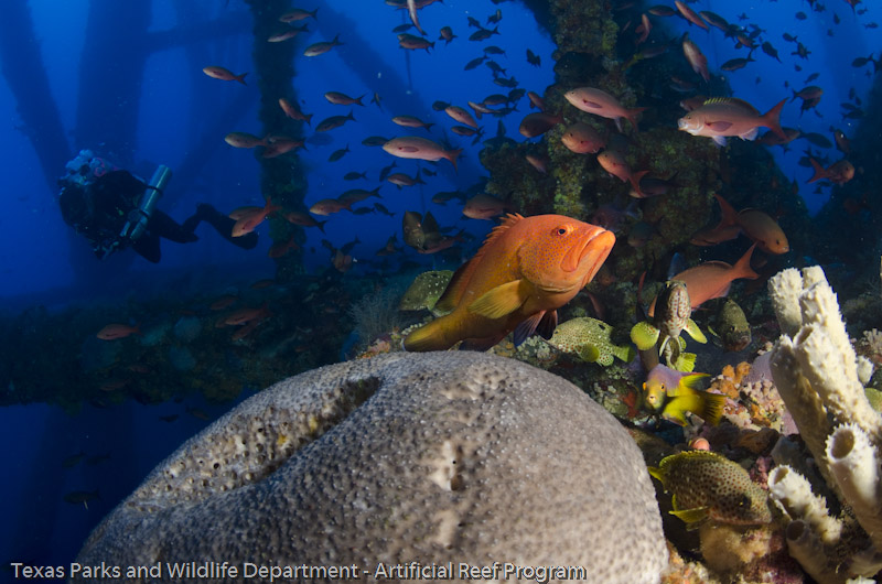 TPWD to Deploy Materials for New Artificial Reef Site in Sabine - The ...