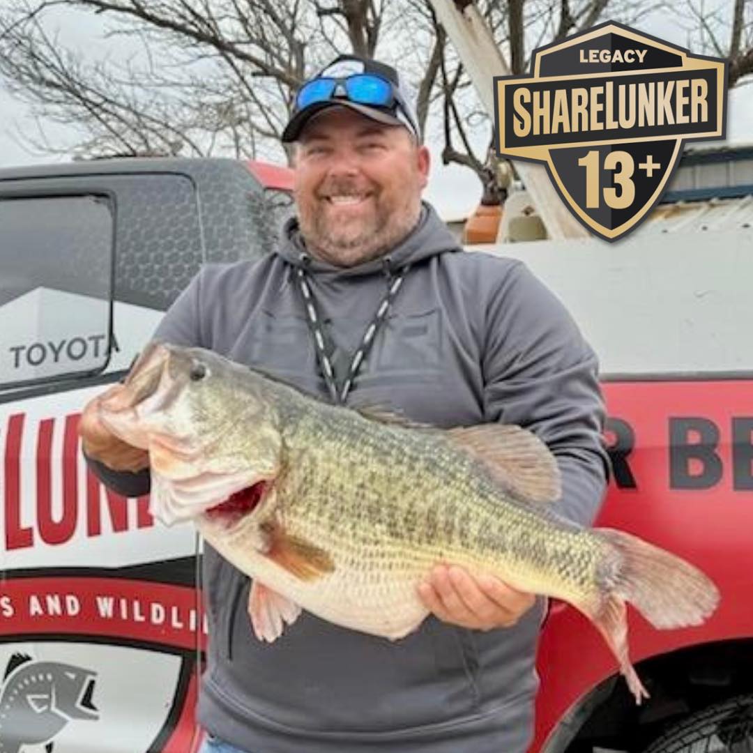 O.H. Ivie Logs Third Legacy Class ShareLunker of 2025 - The Katy News