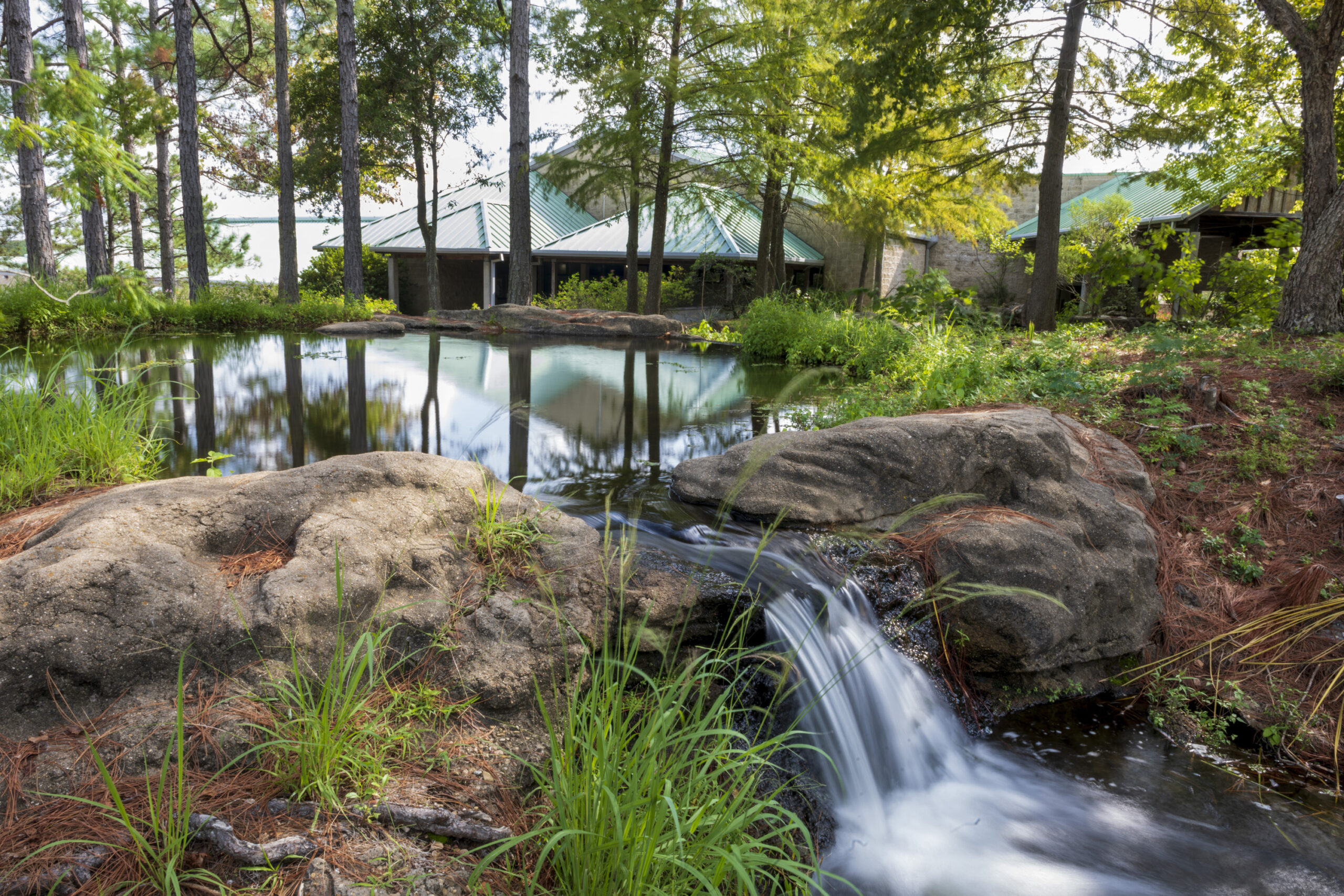 Texas Freshwater Fisheries Center Grand Re-Opening Slated for July 1 ...