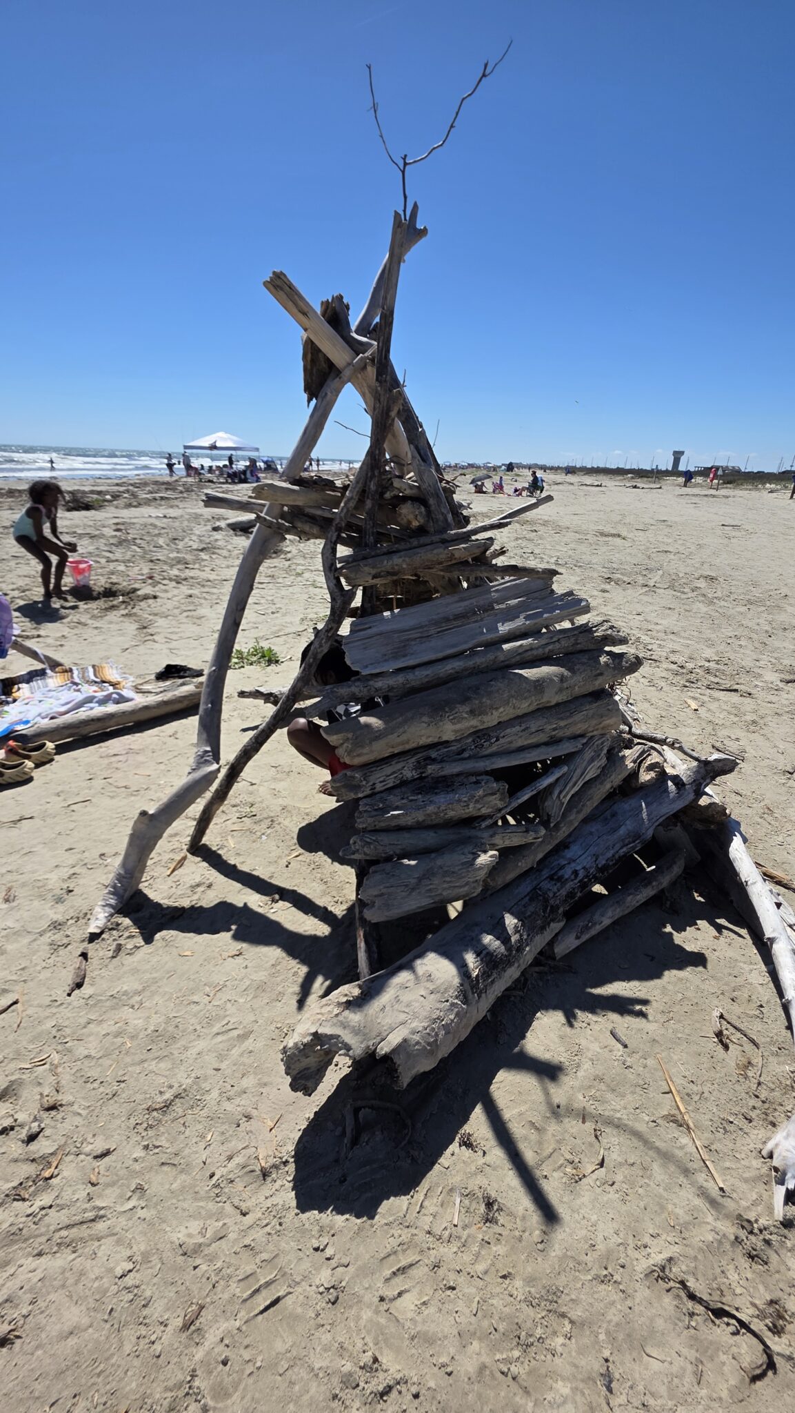 Spring Break Fun at Galveston Island State Park Beach | The Katy News